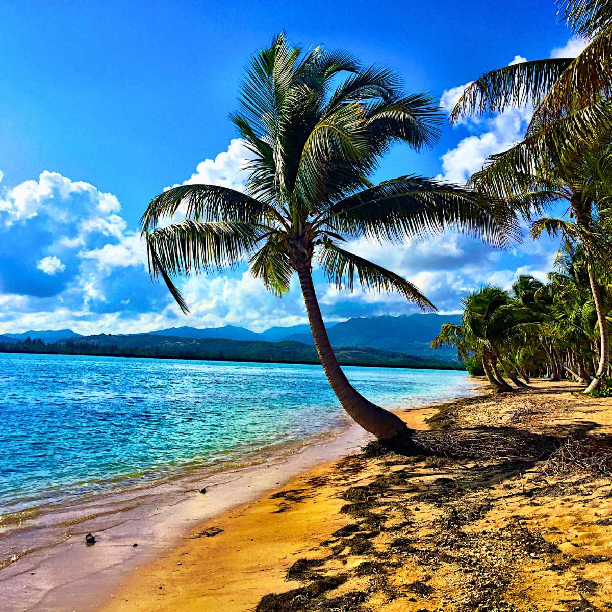 Puerto Rico, Ramble Log - Carole Matthews, Rambler Cafe Blog ...